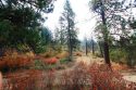 Hiking Tubs Hill in Coeur d'Alene, Idaho - Through My Lens