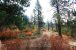 Hiking Tubs Hill in Coeur d'Alene, Idaho - Through My Lens