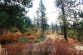 Hiking Tubs Hill in Coeur d'Alene, Idaho - Through My Lens