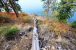 Hiking Tubs Hill in Coeur d'Alene, Idaho - Through My Lens