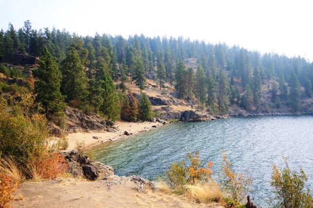 Hiking Tubs Hill in Coeur d'Alene, Idaho - Through My Lens