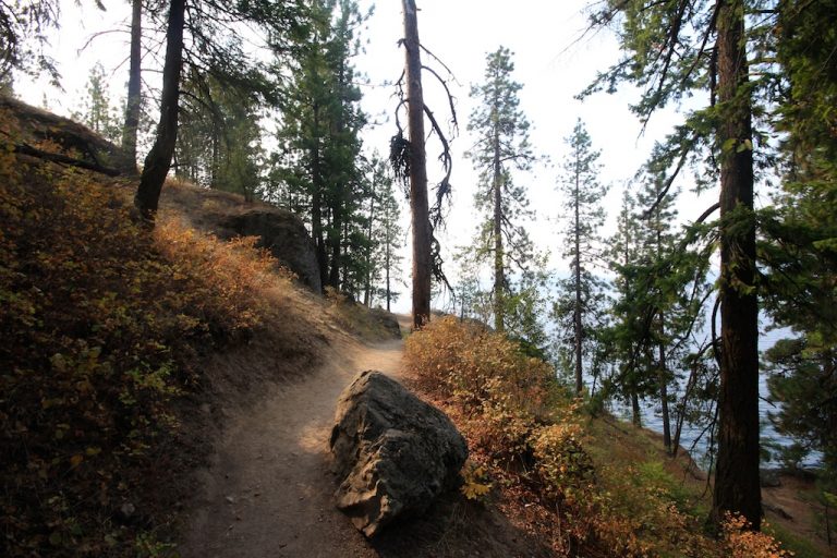 Hiking Tubs Hill in Coeur d'Alene, Idaho - Through My Lens