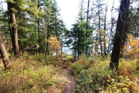 Hiking Tubs Hill in Coeur d'Alene, Idaho - Through My Lens