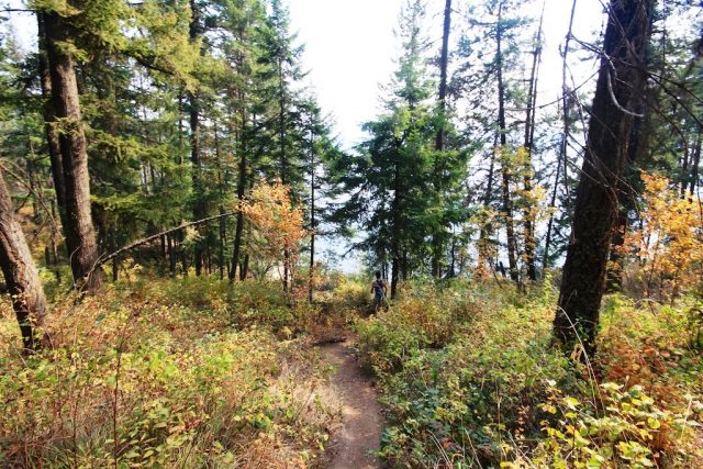 Hiking Tubs Hill in Coeur d'Alene, Idaho - Through My Lens