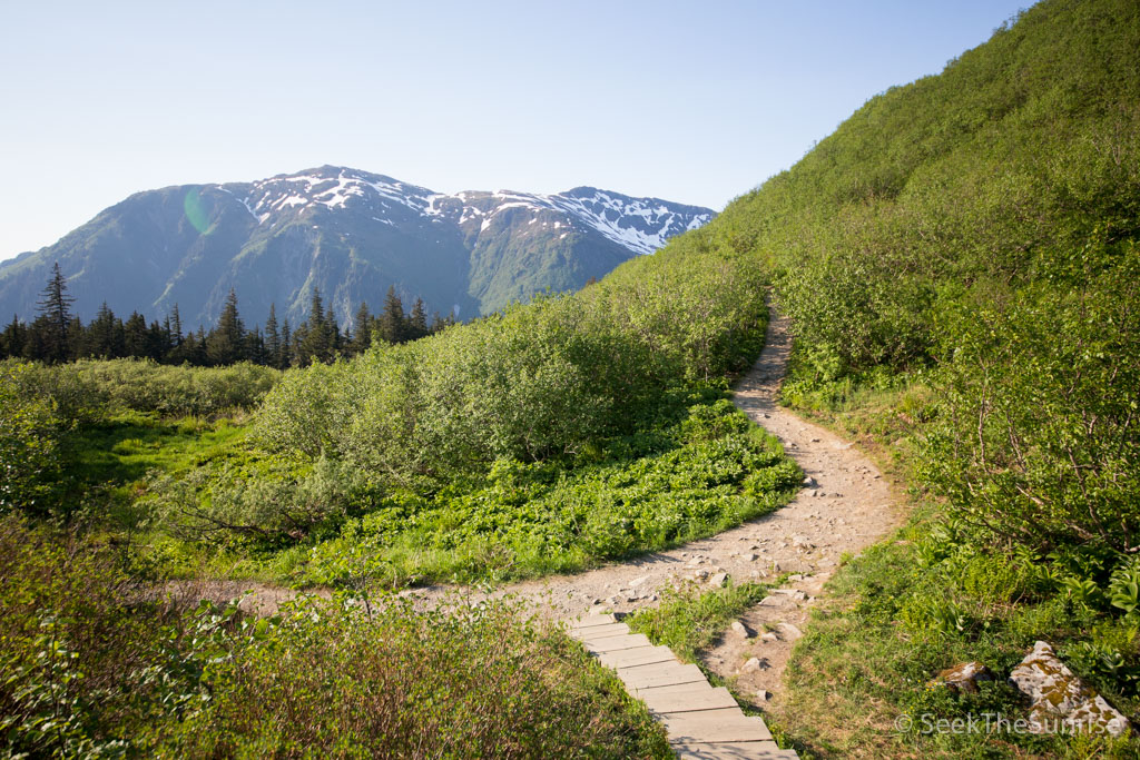 Cross Hike from Mount Roberts Tramway in Juneau, Alaska - Through My Lens