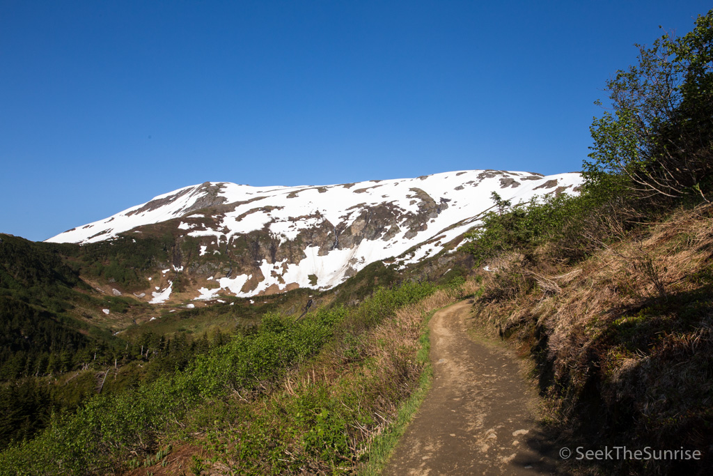 Cross Hike from Mount Roberts Tramway in Juneau, Alaska - Through My Lens