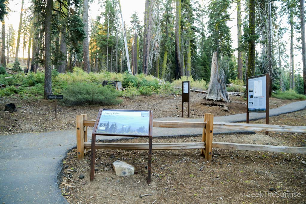 Panoramic Point in Kings Canyon National Park at Sunrise - Through My Lens