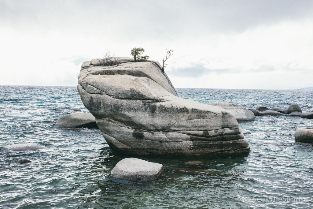 Bonsai Rock Lake Tahoe 100+ Bonsai Rock Lake Tahoe Stock Photos,
