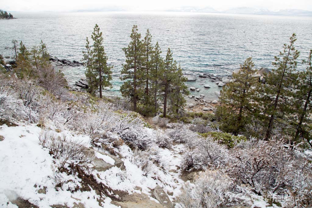 Bonsai Rock in Lake Tahoe: How to Find and Photograph the Bonsai Tree ...