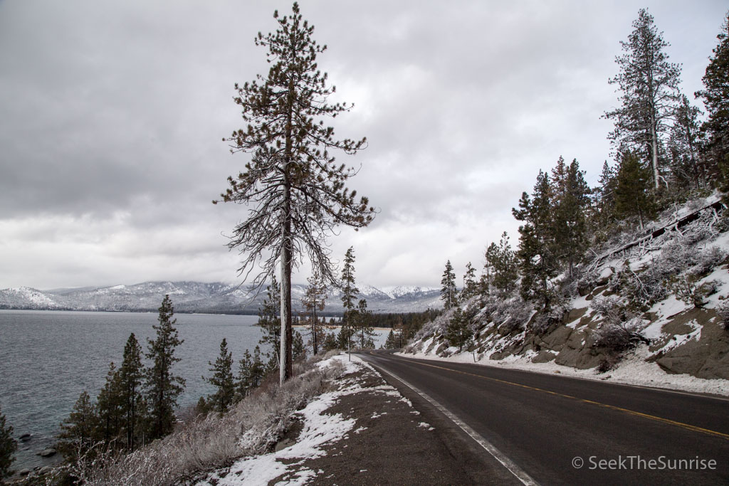 Bonsai Rock in Lake Tahoe: How to Find and Photograph the Bonsai Tree ...