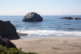 Highway 101 Oregon Coast Road Trip Itinerary Day 1: Brookings to ...