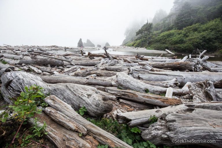 Highway 101 Washington Coast Road Trip Itinerary Day 3: Astoria to ...