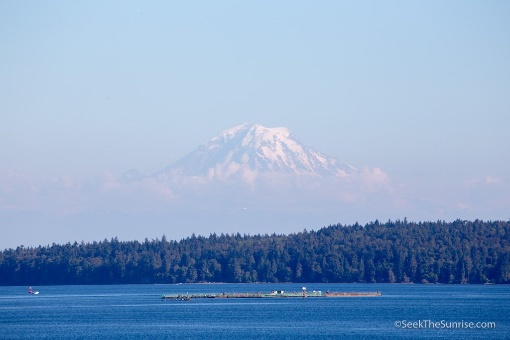 Highway 101 Washington Coast Road Trip Itinerary Day 4: Forks to ...