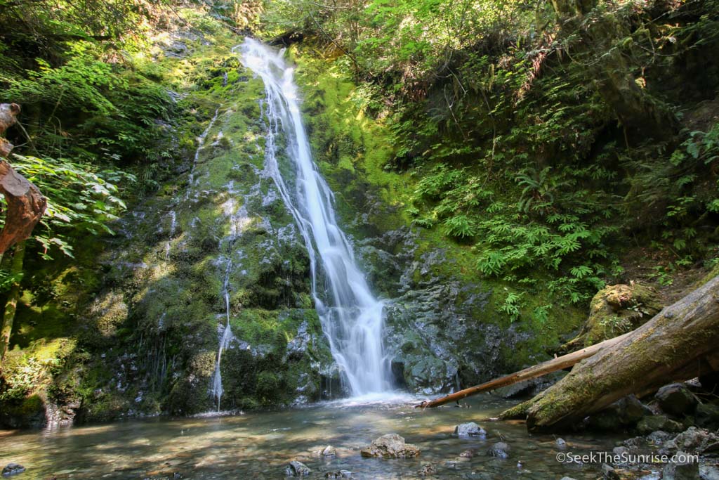 Highway 101 Washington Coast Road Trip Itinerary Day 4: Forks to ...