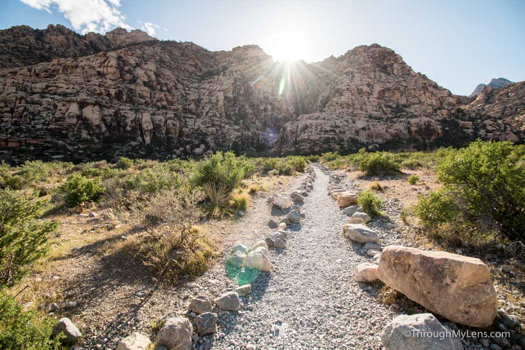 Red Rock Canyon Natural Area: How to Drive, Hike & Explore the Park ...