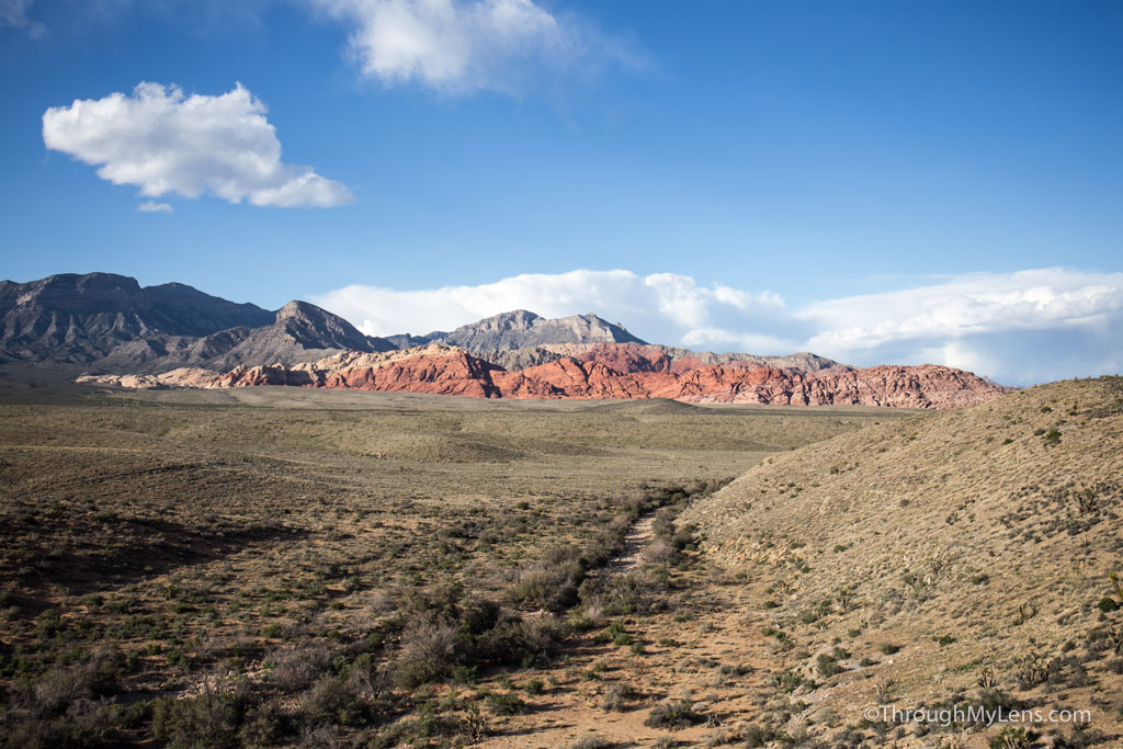 Red Rock Canyon Natural Area: How to Drive, Hike & Explore the Park ...
