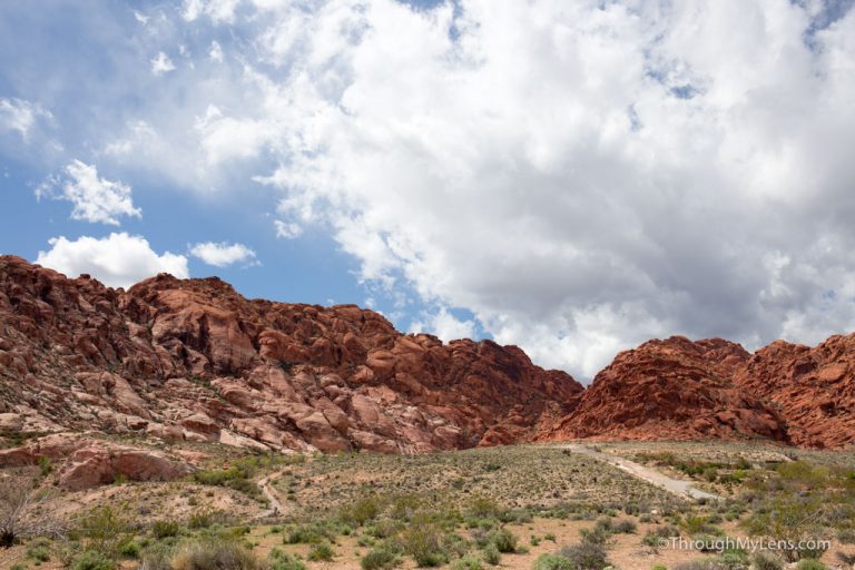 Red Rock Canyon Natural Area: How to Drive, Hike & Explore the Park ...