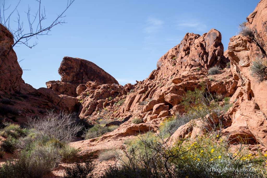 Valley of Fire State Park in Nevada: Arches, Trails, Vistas & Rock ...
