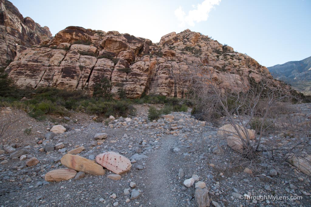 Red Rock Canyon Natural Area: How to Drive, Hike & Explore the Park ...