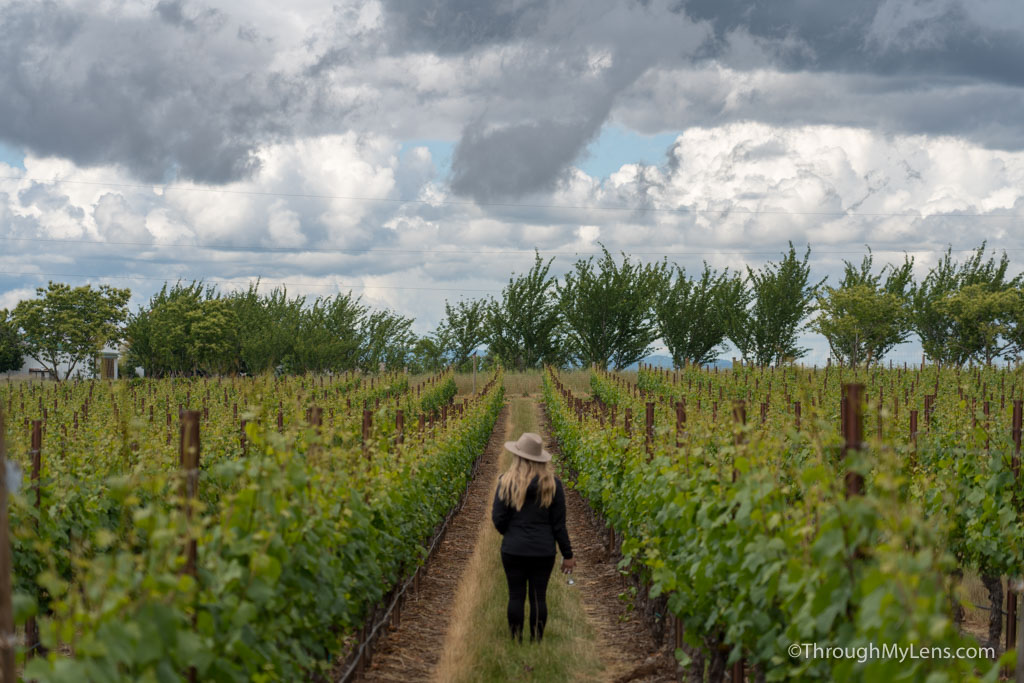 3 Days in Oregon’s Tualatin Valley: Where to Eat, Drink and Explore ...