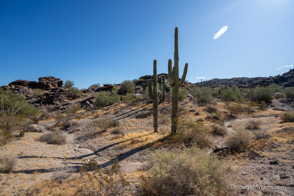 15 Things to do in Tempe, Arizona - Through My Lens