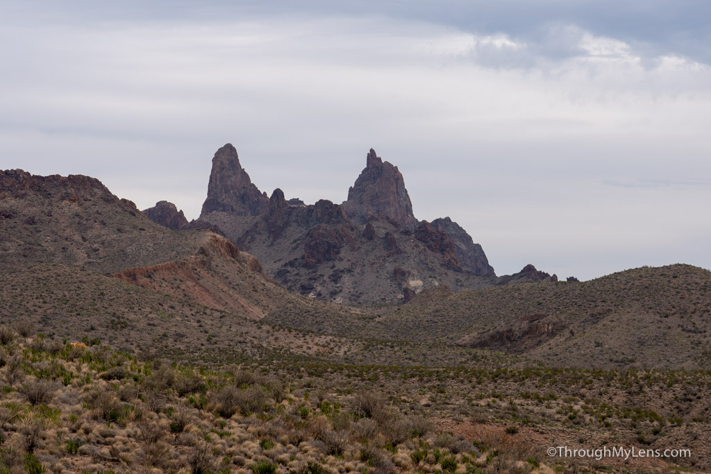 One Day in Big Bend National Park: 24 Hour Itinerary for the Park ...