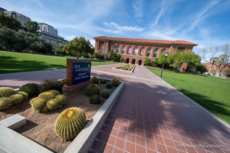 16 Things to do in Tucson, Arizona - Through My Lens