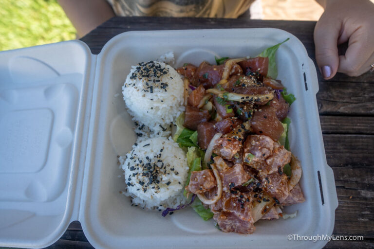 Tips for a Road to Hana Road Trip - Through My Lens