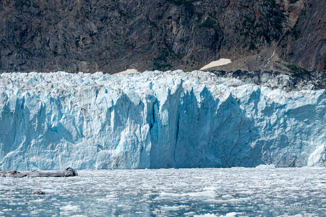 How to Visit Glacier Bay National Park + 2 Day Itinerary and Cost ...
