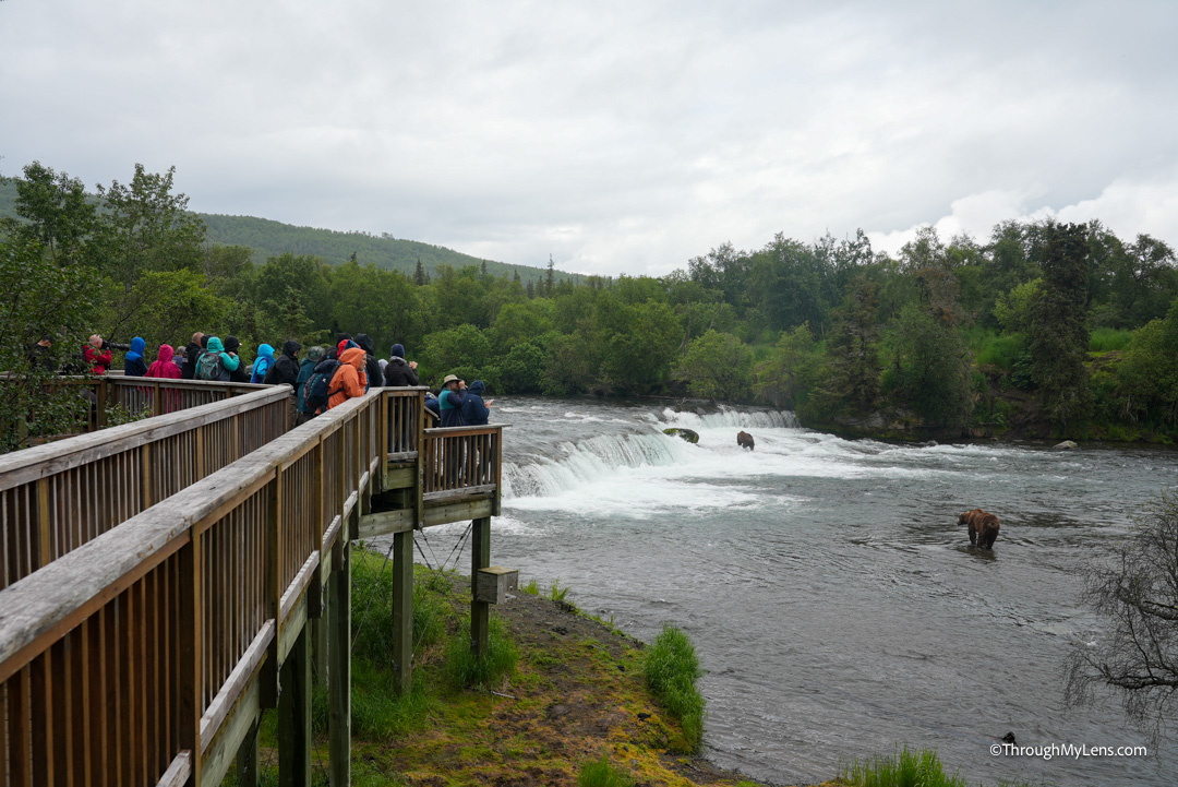 How to Visit Katmai National Park + 2 Day Itinerary and Cost - Through ...