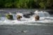 How to Visit Katmai National Park + 2 Day Itinerary and Cost - Through ...