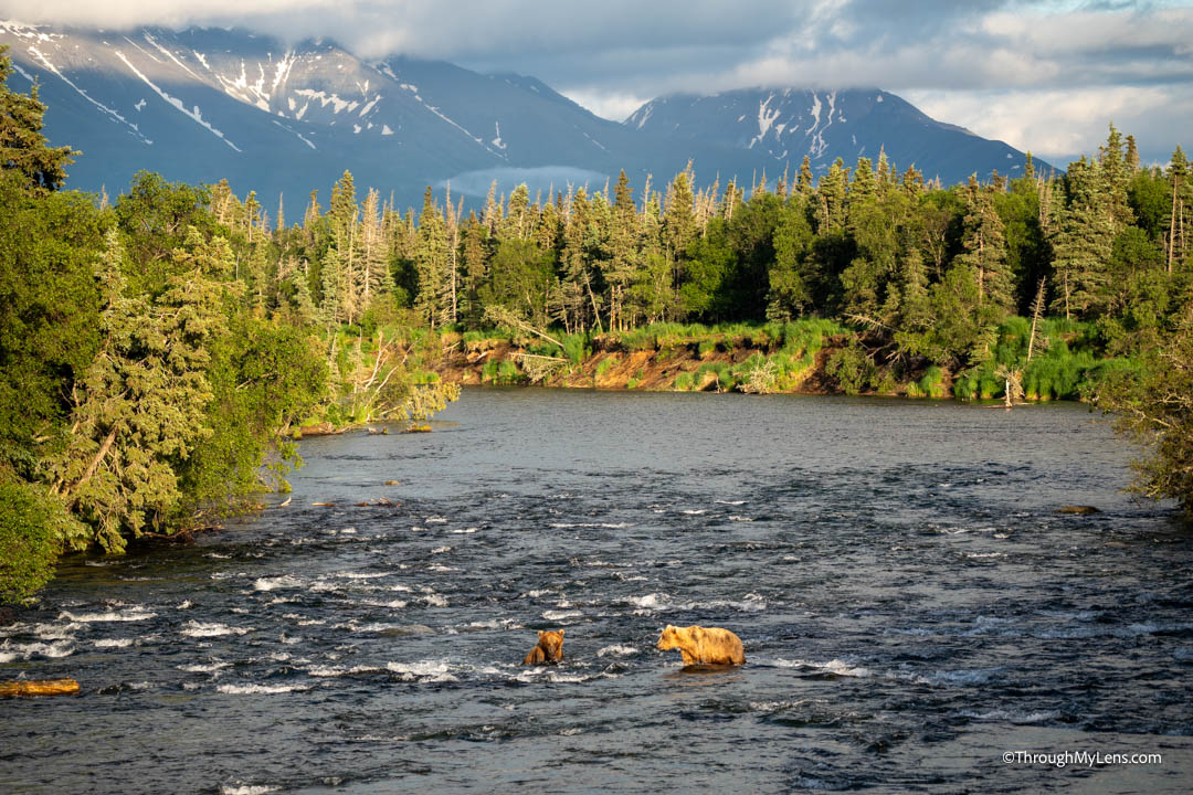 How to Visit Katmai National Park + 2 Day Itinerary and Cost - Through ...