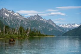 How to Visit Lake Clark National Park + Cost - Through My Lens