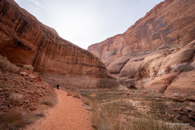 Rainbow Bridge National Monument: How to Visit the World's Largest ...