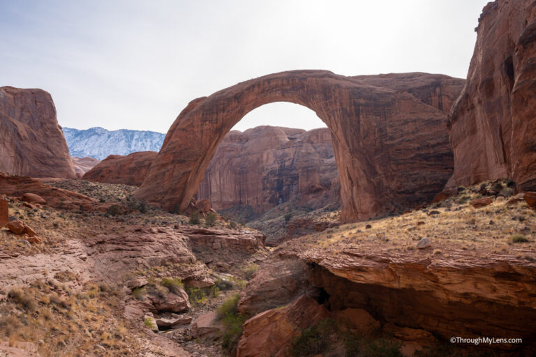 Rainbow Bridge National Monument: How to Visit the World's Largest ...