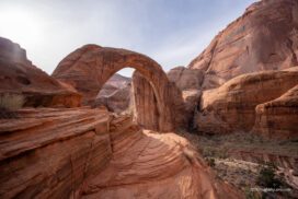 Rainbow Bridge National Monument: How to Visit the World's Largest ...