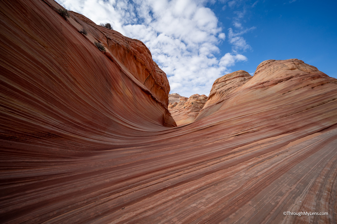 How to Hike The Wave in Arizona: Permits, Trail Navigation, Photos ...