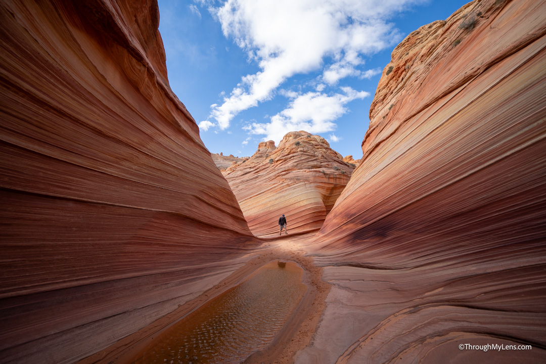 How to Hike The Wave in Arizona: Permits, Trail Navigation, Photos ...