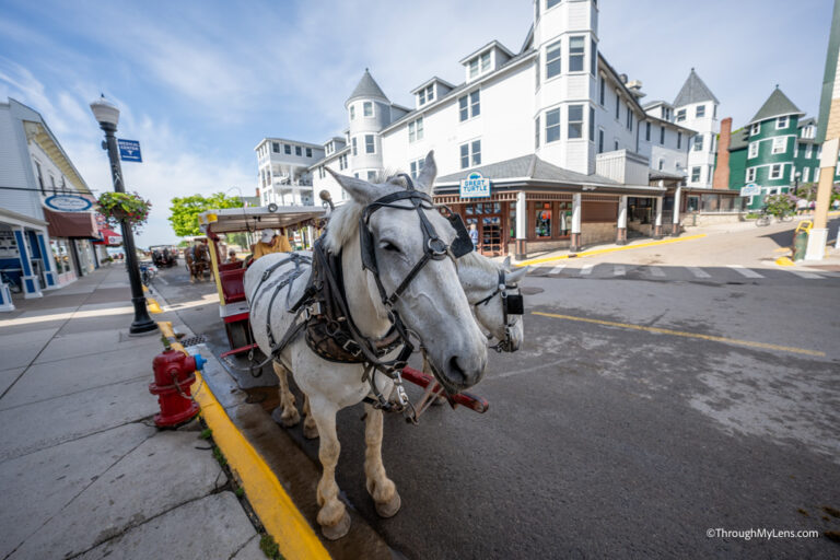 The Perfect Mackinac Island Day Trip (Itinerary + Prices - Through My Lens