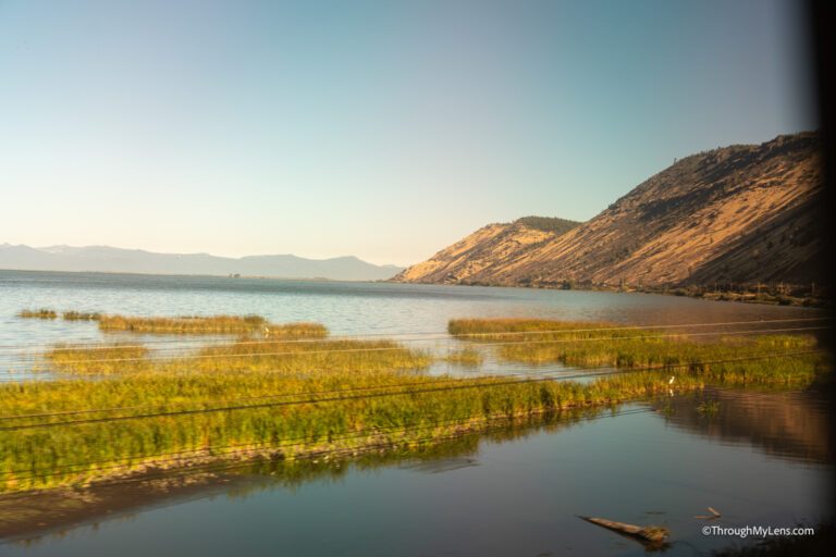 16 Tips for First-Time Amtrak Long-Distance Travelers - Through My Lens